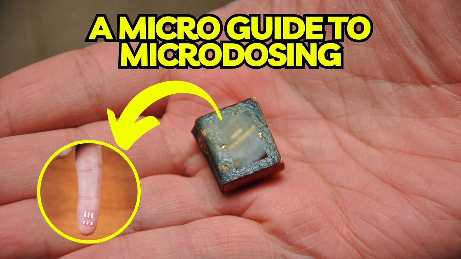 A Microguide to Microdosing – Third Eye Society